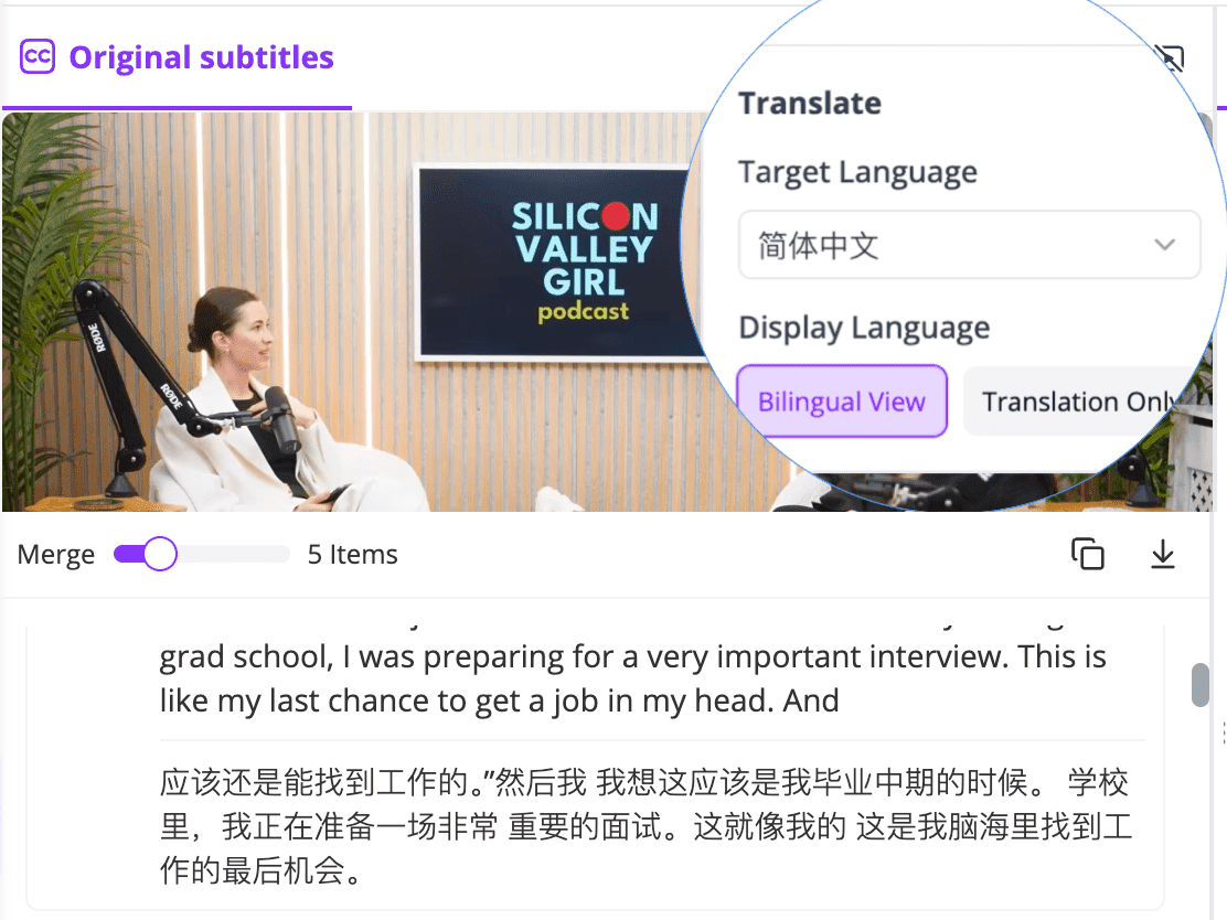 VideoSeek AI - AI Video Transcription & Summarization | Smart Video ...